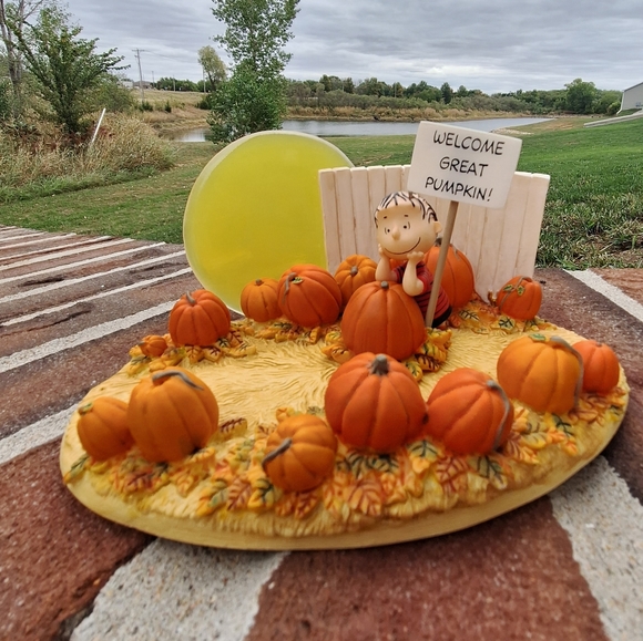 Peanuts | Holiday | Peanuts The Great Pumpkin Halloween Linus And Pumpkin Patch 206 Hallmark Inc ...